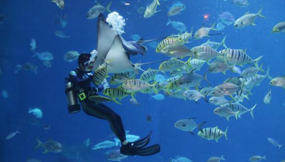 20 Adventures on Boulder Island — An Enchanted Island in the Myeik ...